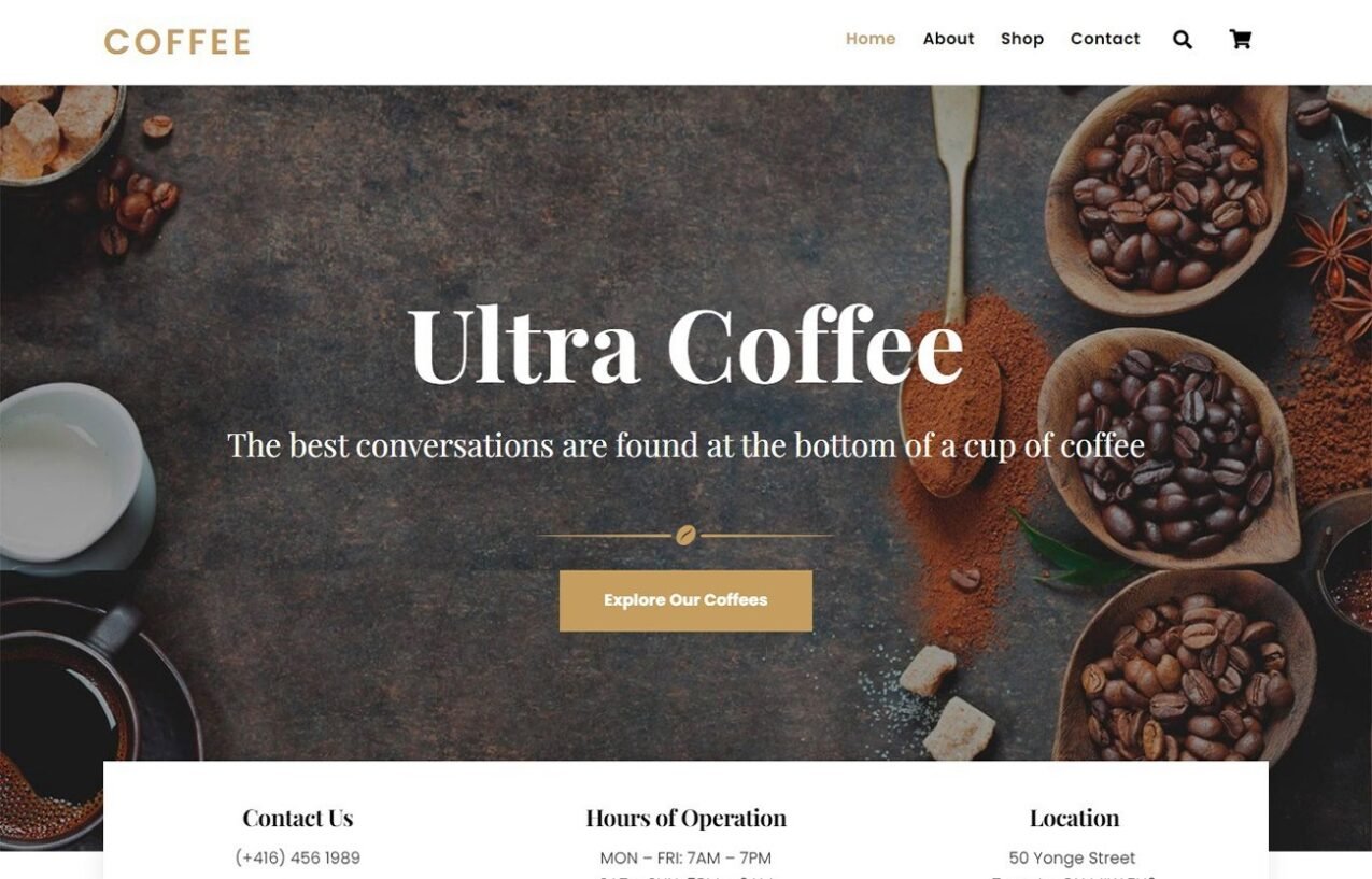 Store - Best WordPress Themes & Templates